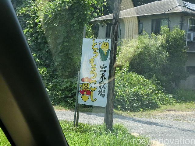 【吉備中央町】宮木牧場☆生でもおいしい超超美味とうもろこし！遠方から遥々求めるファン多数 | nanoの岡山グルメLABO