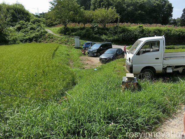 【吉備中央町】宮木牧場☆生でもおいしい超超美味とうもろこし！遠方から遥々求めるファン多数 | nanoの岡山グルメLABO